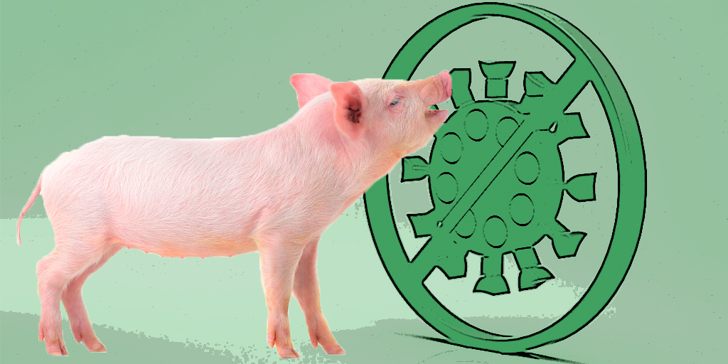 NOVIREX 280, de S.P. Veterinaria