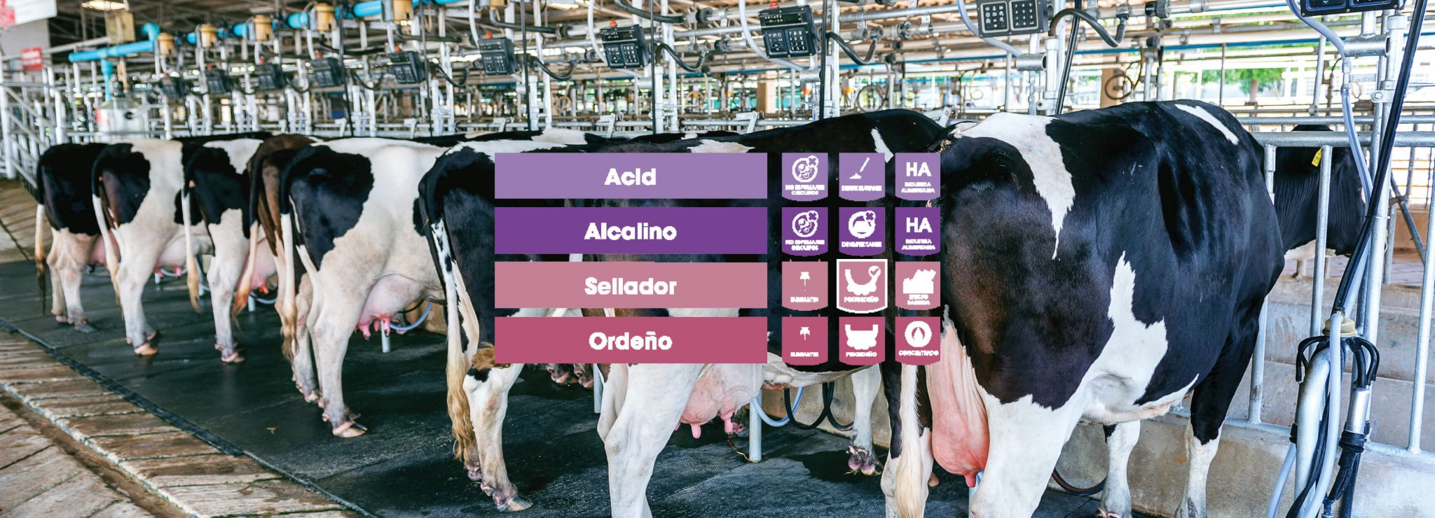 Empresa Zotal - Bioseguridad