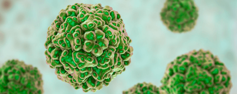 DYBAC ASEPTIL FORTE - Desinfectante bactericida, fungicida y viricida